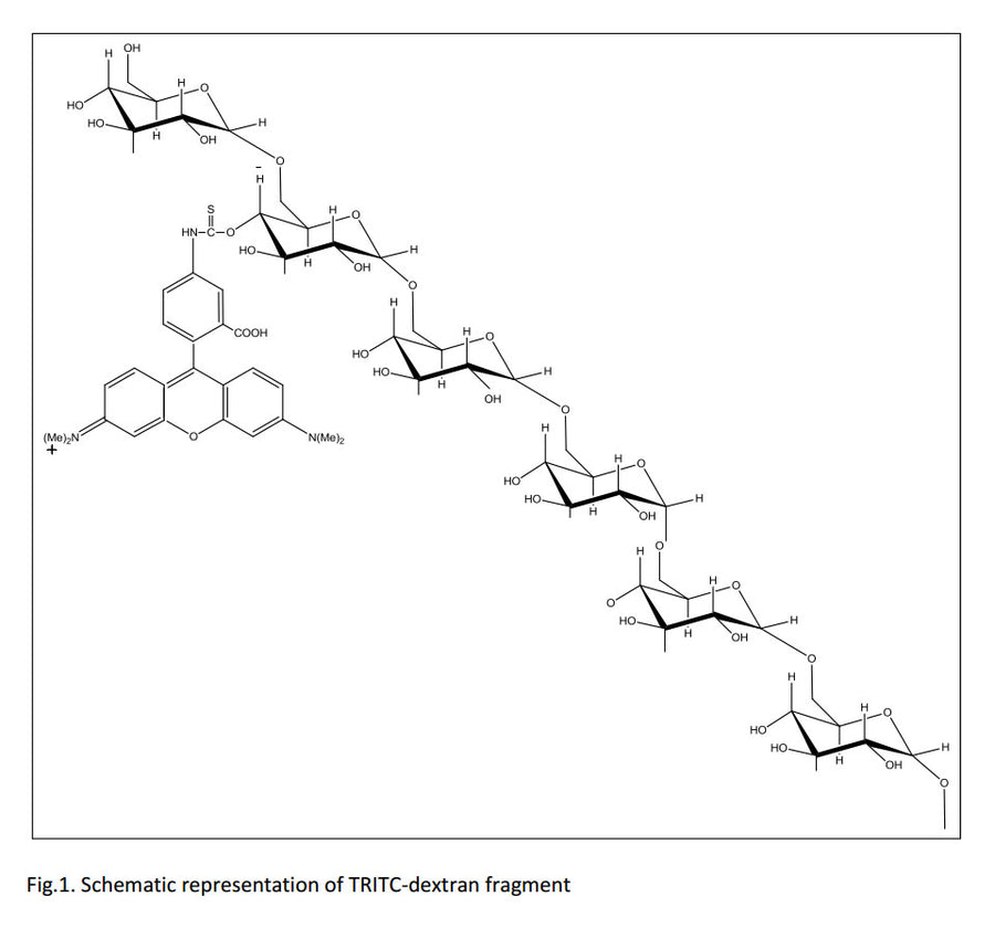 TRITC-dextran – TdB Labs