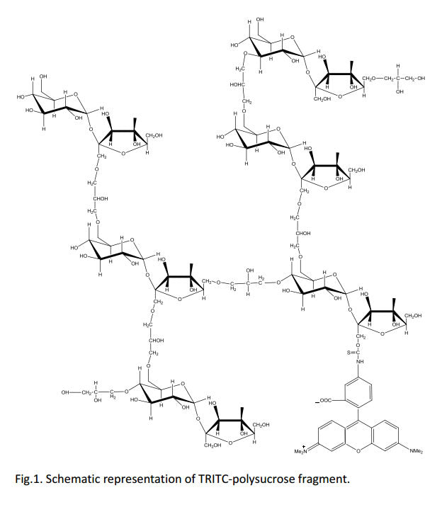 TRITC-polysucrose – TdB Labs
